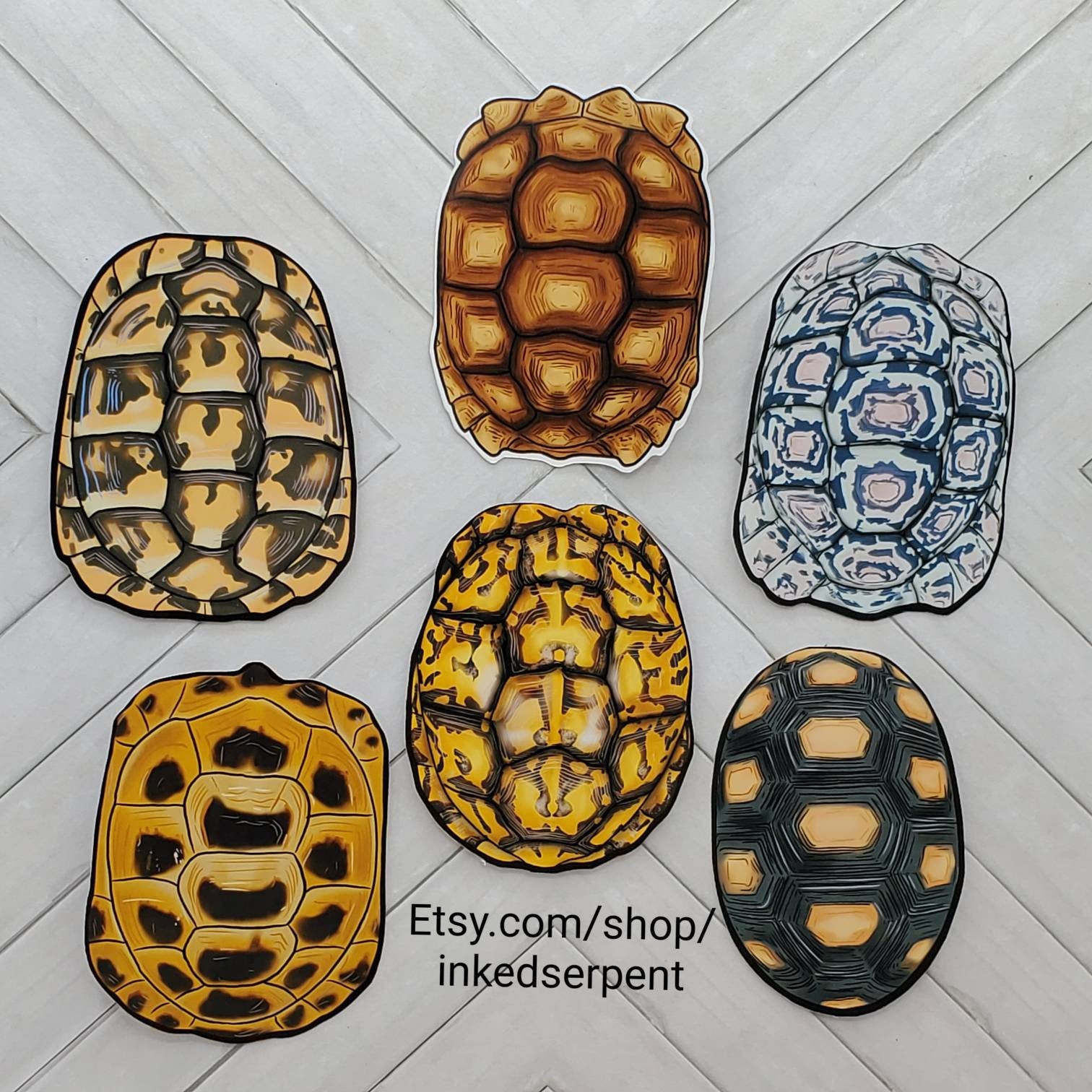 Tortoise shell sticker tortoise gift tortoise art turtle | Etsy