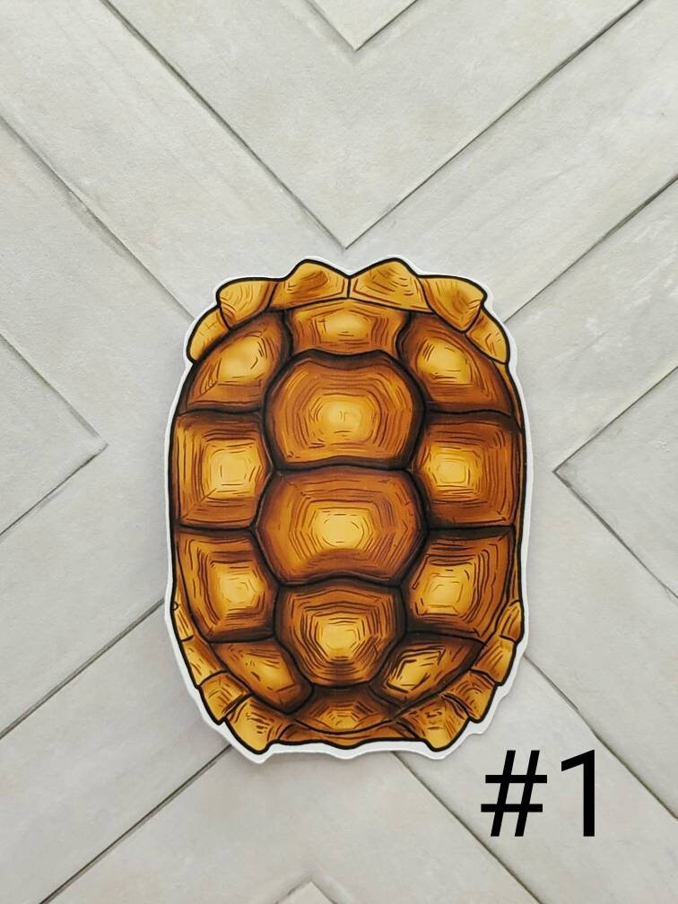 Tortoise shell sticker tortoise gift tortoise art turtle | Etsy
