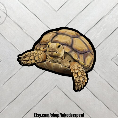 Tortoise Sticker - Etsy