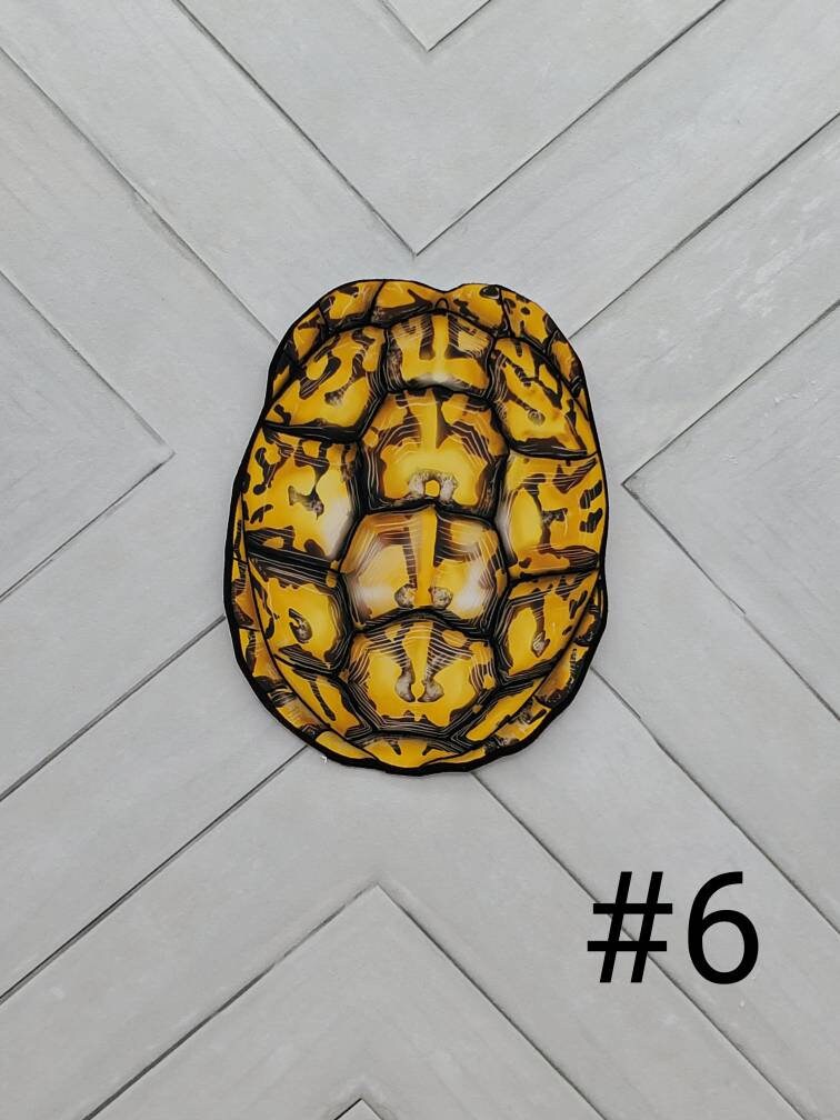 Tortoise shell sticker tortoise gift tortoise art turtle | Etsy