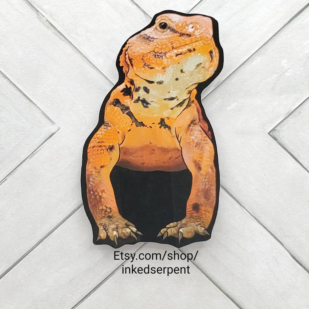 Uromastyx Sticker Lizard Art Reptile Art Lizard Gift - Etsy
