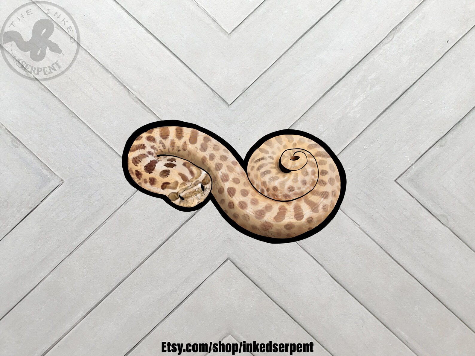 Hognose Snake Sticker Digital Painting Reptile Art Gift Snake | Etsy