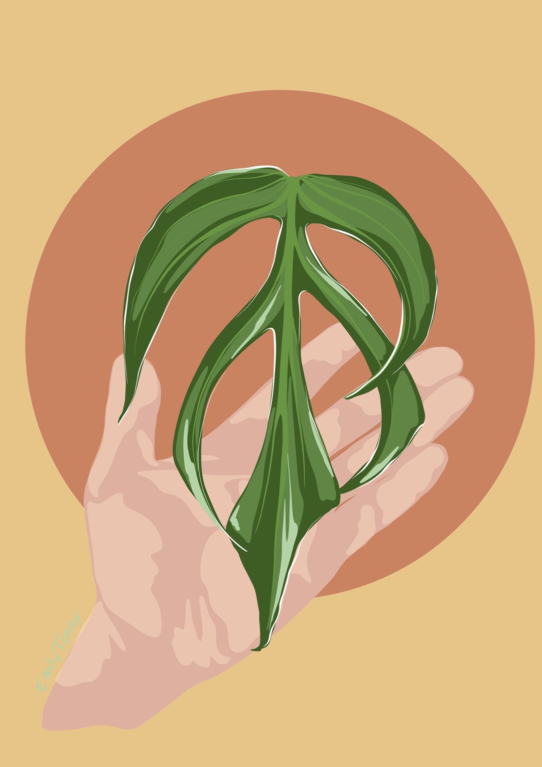 Monstera Burle Marx Flame - - Etsy