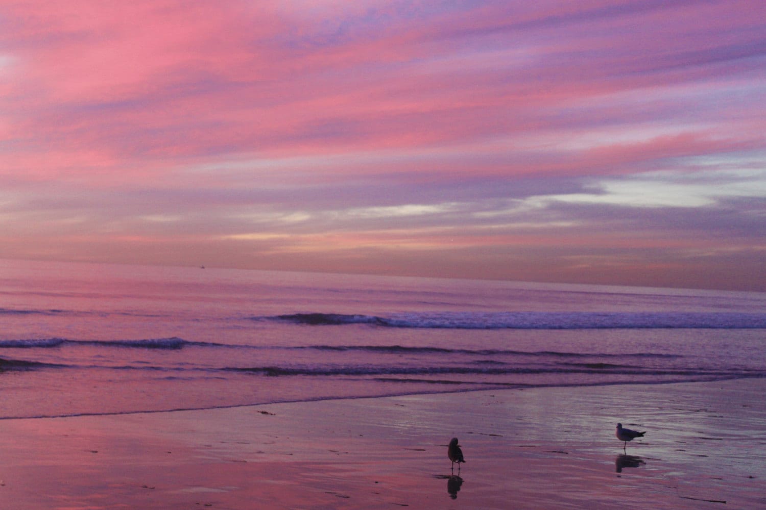 A Subtle Sky, Pastel Purple and Pink Sunset, Seagulls, Carlsbad ...