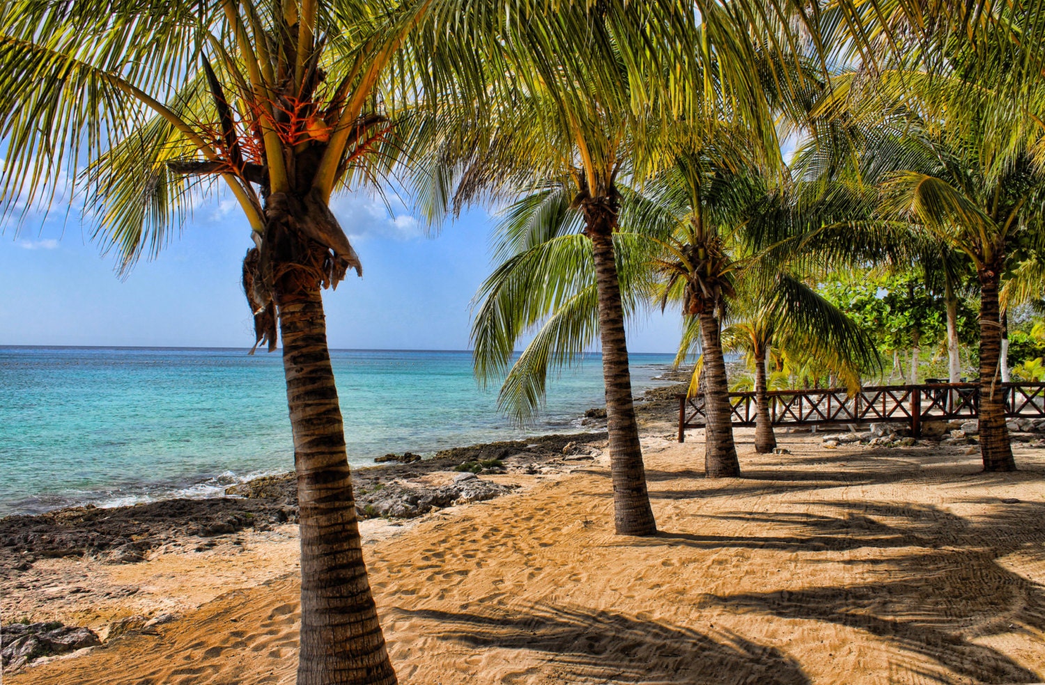 Palm Tree Oasis, Blue Water, Sand, Beach, Tropical, Coral Reef, Cozumel ...