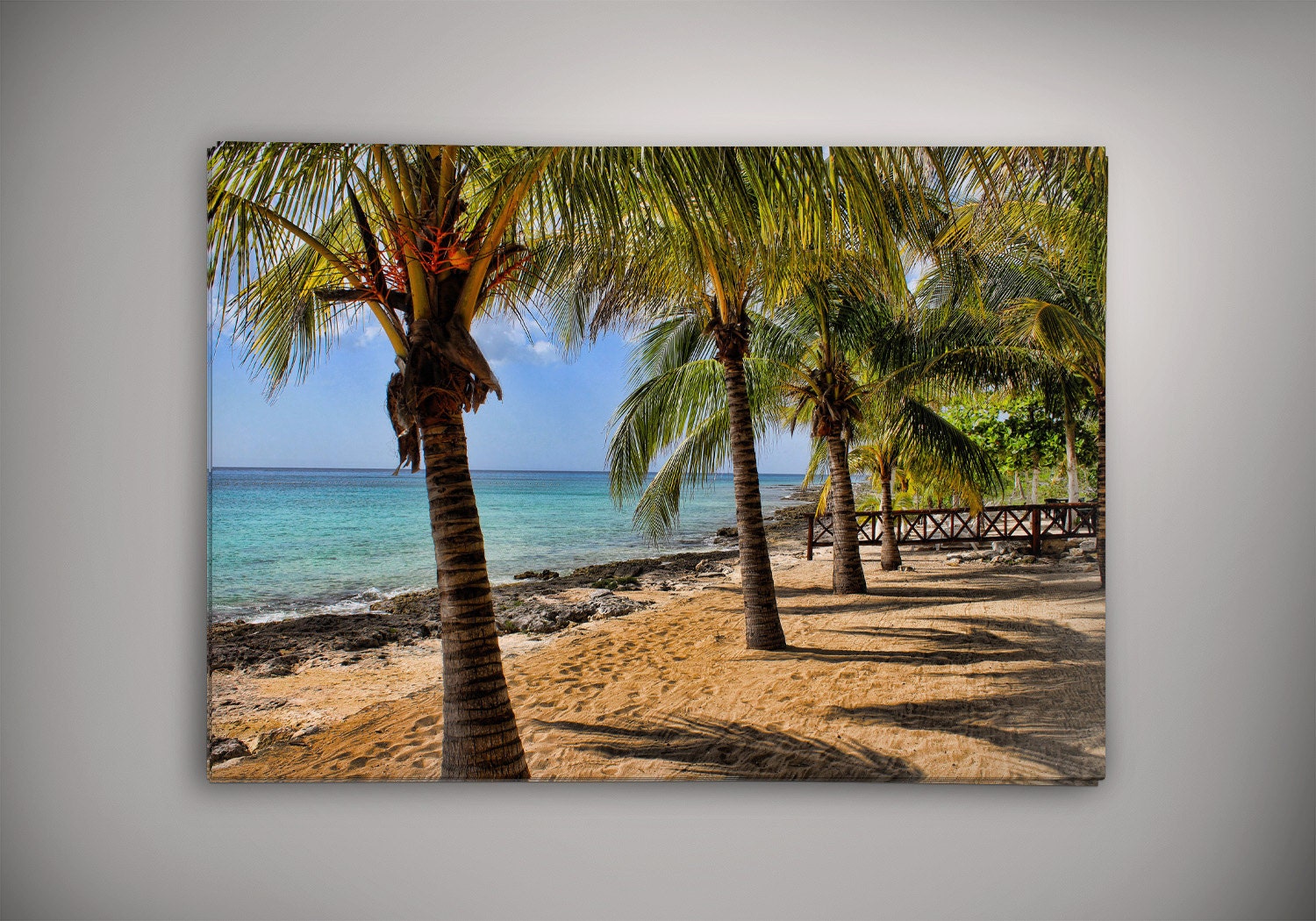 Palm Tree Oasis, Blue Water, Sand, Beach, Tropical, Coral Reef, Cozumel ...