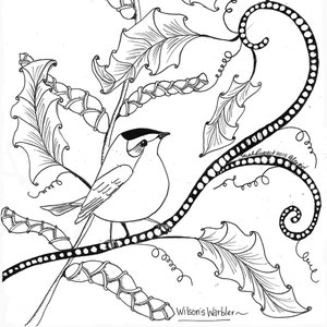 Warblers - an Art by Peleegirl Colouring Book - Etsy