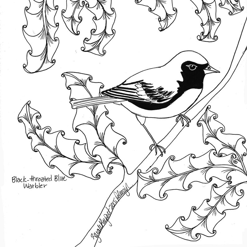 Warblers - an Art by Peleegirl Colouring Book - Etsy