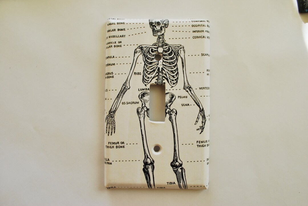 Skeleton Switch Plate With All the Bones' Names - Etsy