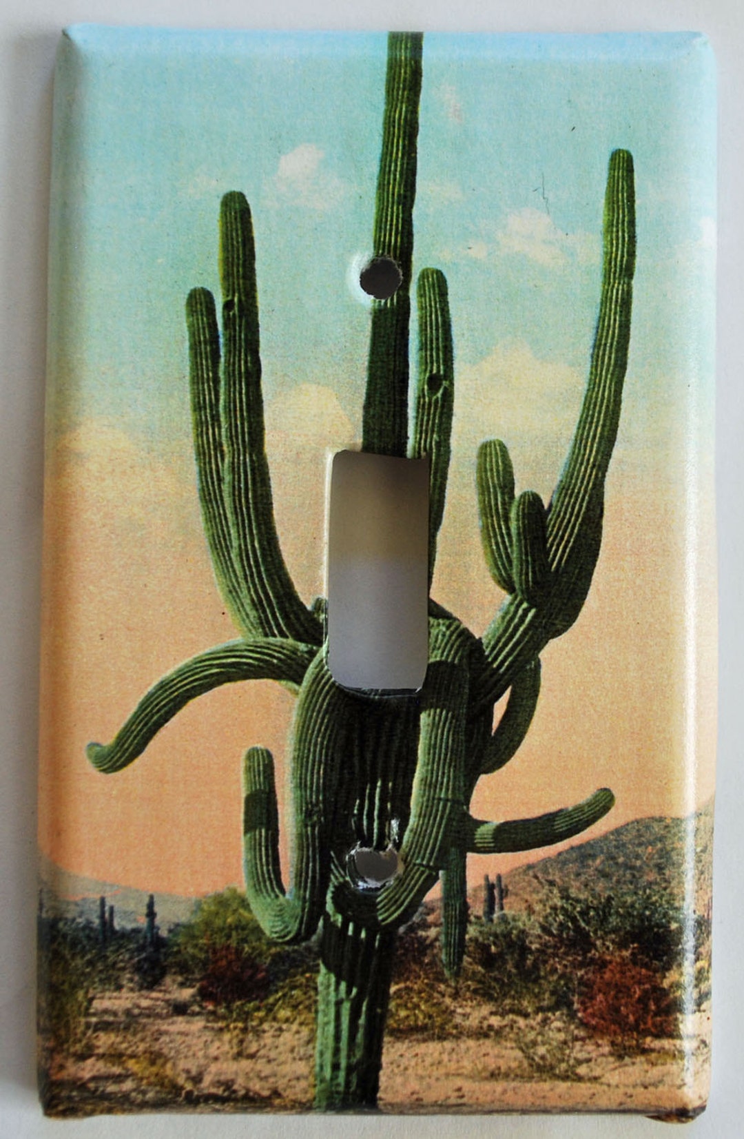 Saguaro Cactus Single Switch Plate - Etsy