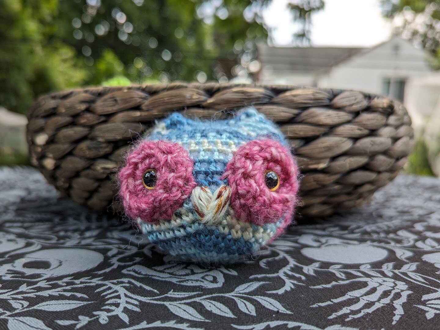 Trans Pride Owl nugget Transgender Pride Amigurumi Crocheted Owl made ...