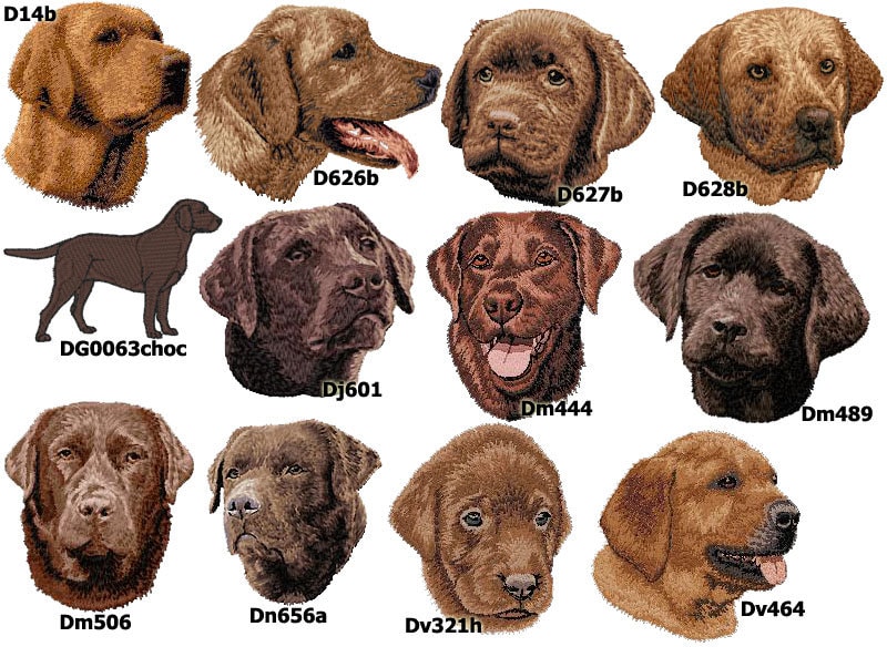 Embroidered Chocolate Labrador Retriever Pigment-dyed Cap - 12 Colors ...