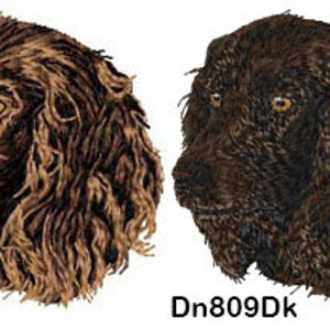 Embroidered Boykin Spaniel Two Tone Pigment-dyed Cap - Free Shipping to ...