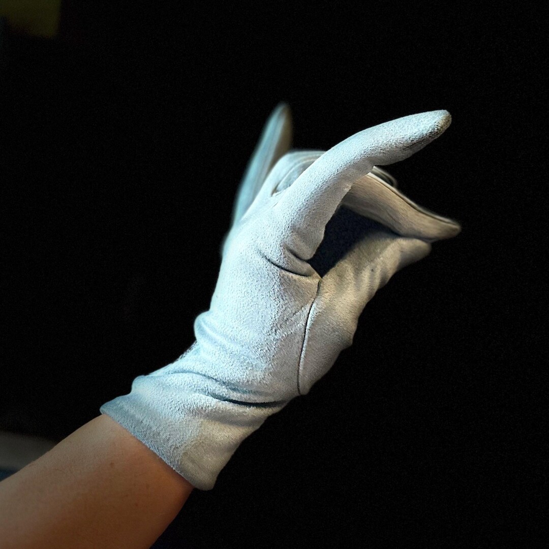 Light Blue Gloves With Embroidery Mulberry Tree for Women,winter Gloves ...