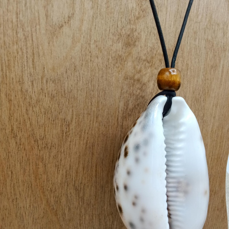 Kauri schelp - Etsy Nederland