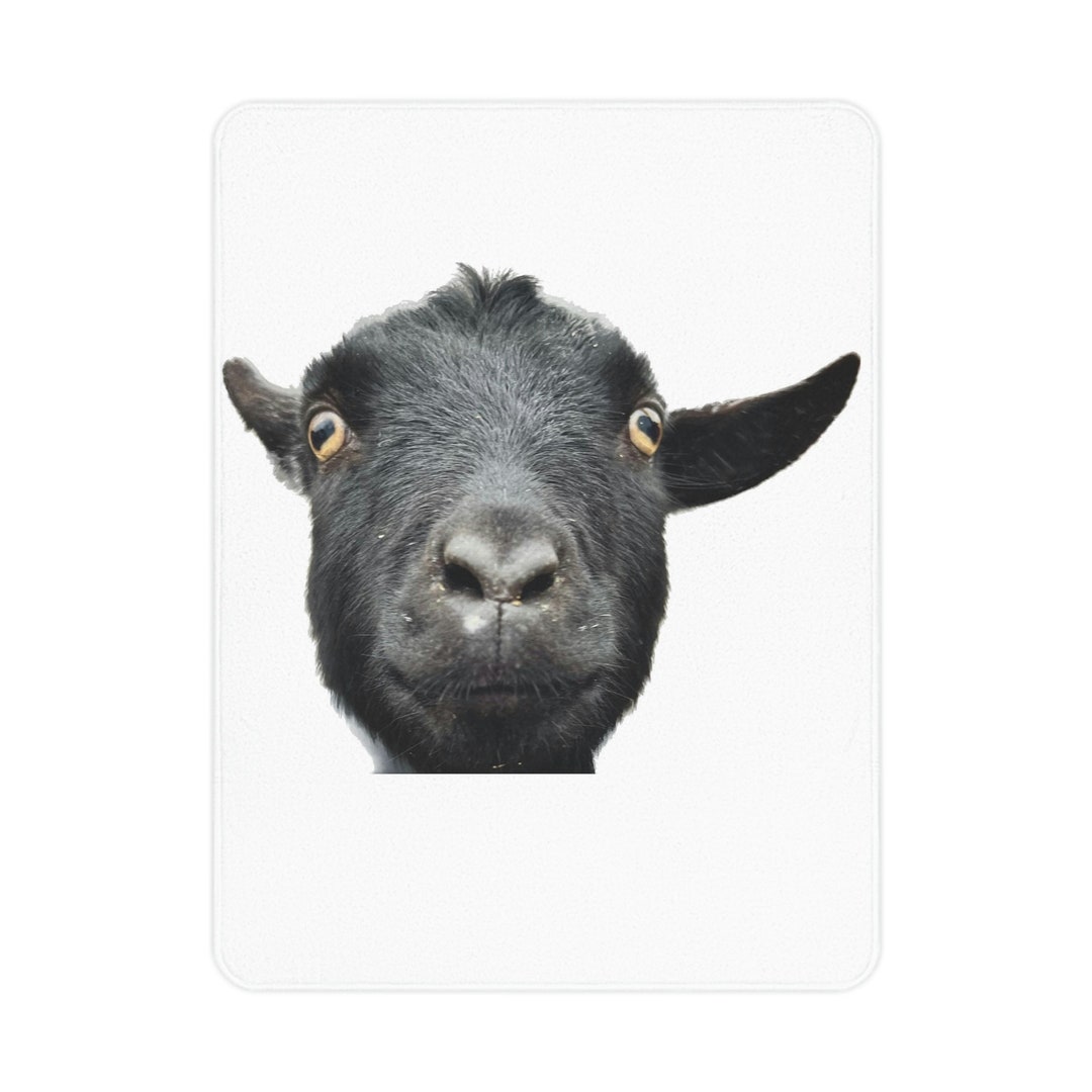 Toddler Blanket Featuring the Goat Named Goat at Jacobs Heritage Farm ...
