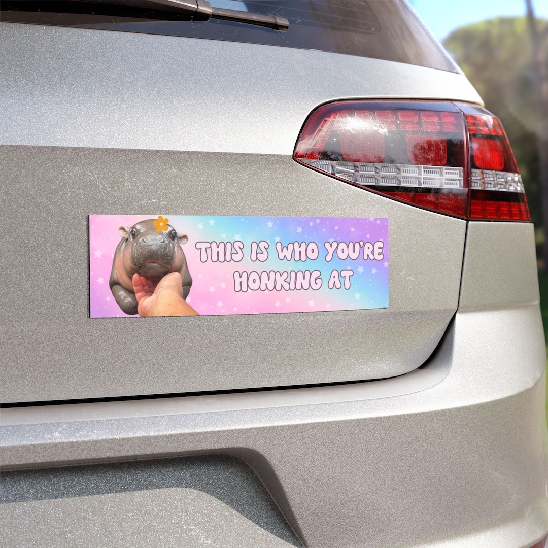 Cute Baby Pygmy Hippo Car Bumper Magnet, Adorable Animal Car ...