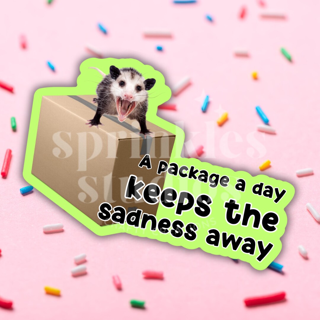 A Package A Day Sticker, Trendy Water Bottle Decal, Girl Math Gift ...