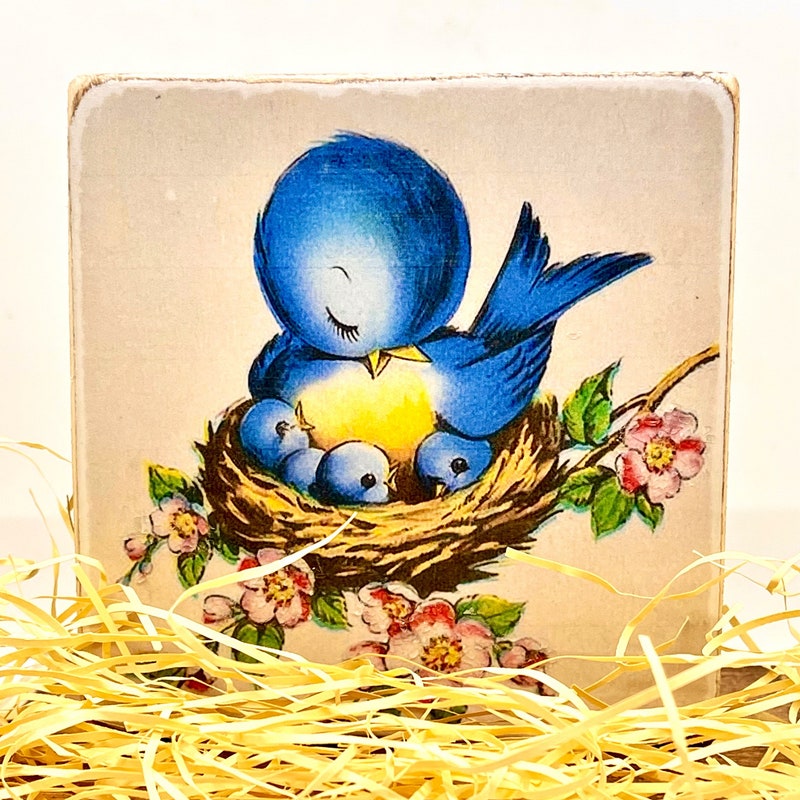 Baby Blue Birds - Etsy