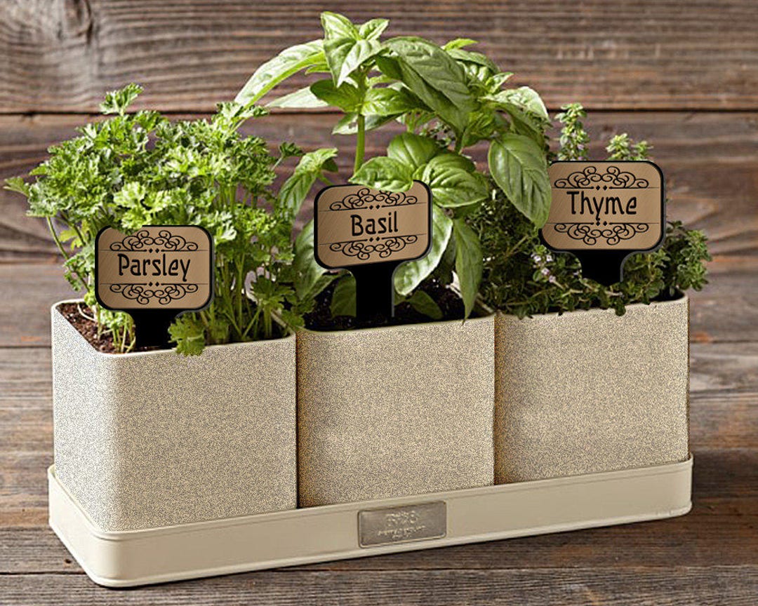 GS Garden Stakes Rectangle-top 12in Metallic Flexibrass & Acrylic Plant ...