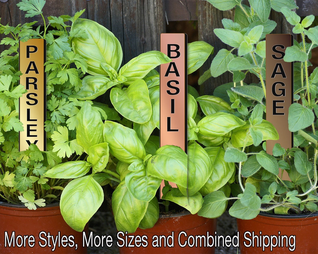 GS Garden Stakes Metallic Upright 08in 6/8/10 Sets Metalgraph Acrylic ...