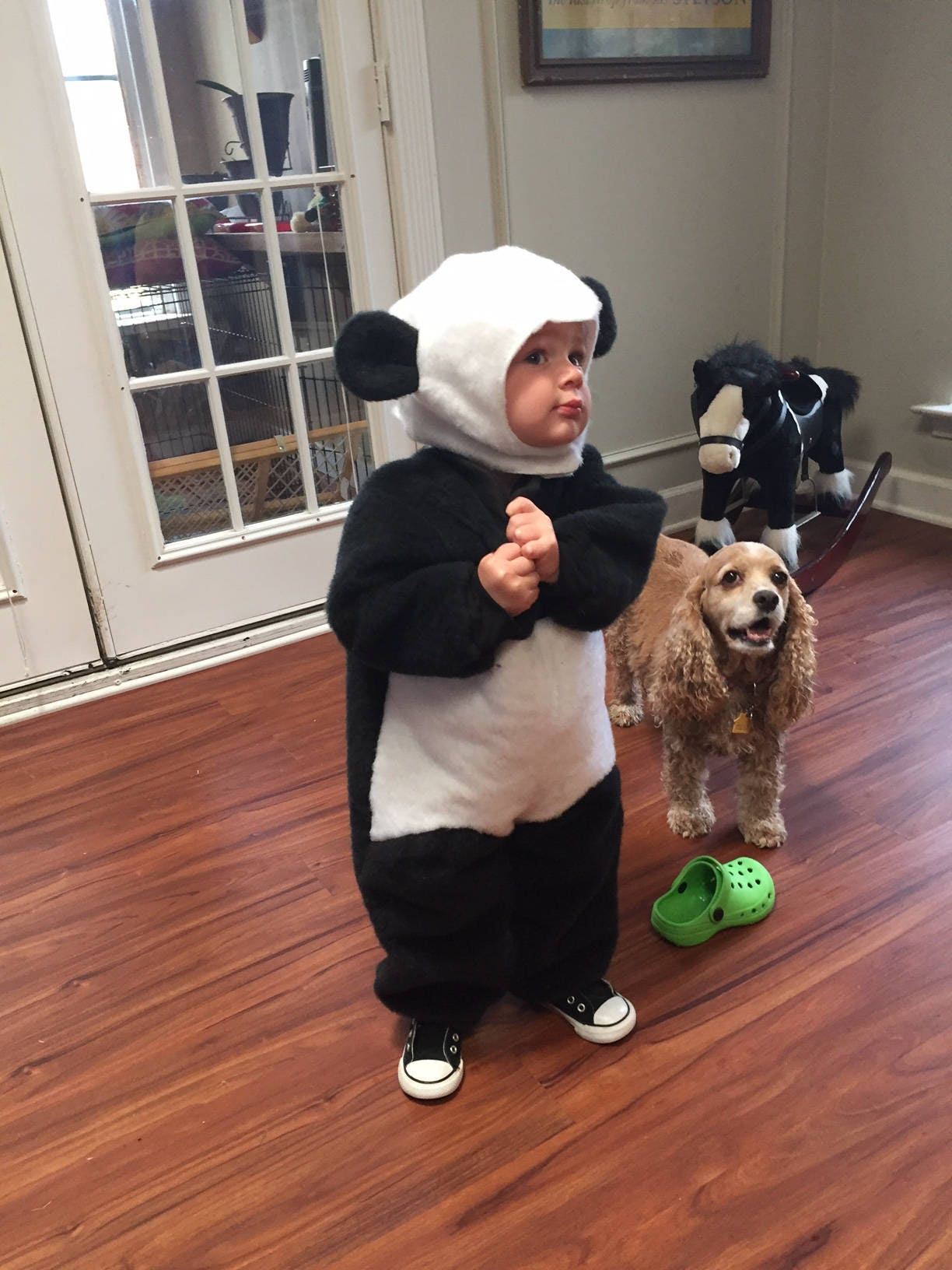 Infant Panda Costume
