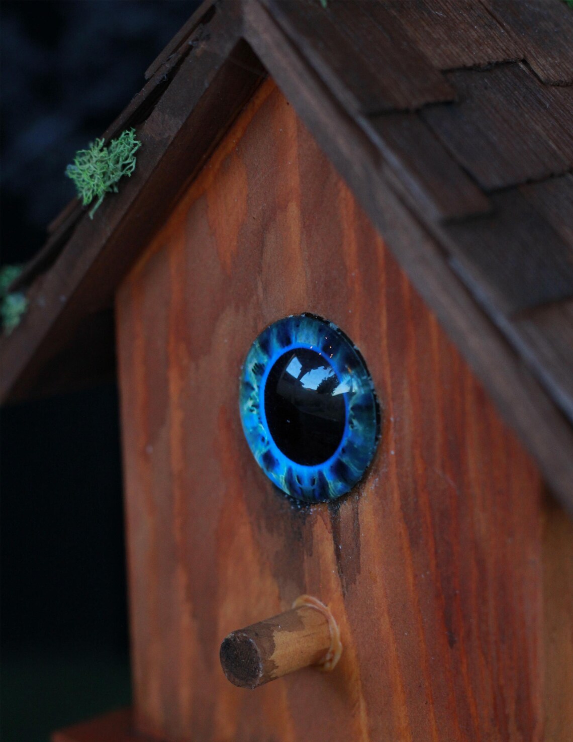 Maya the One Eyed Chicken Foot Hut Hut - Etsy