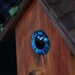 Maya the One Eyed Chicken Foot Hut Hut - Etsy