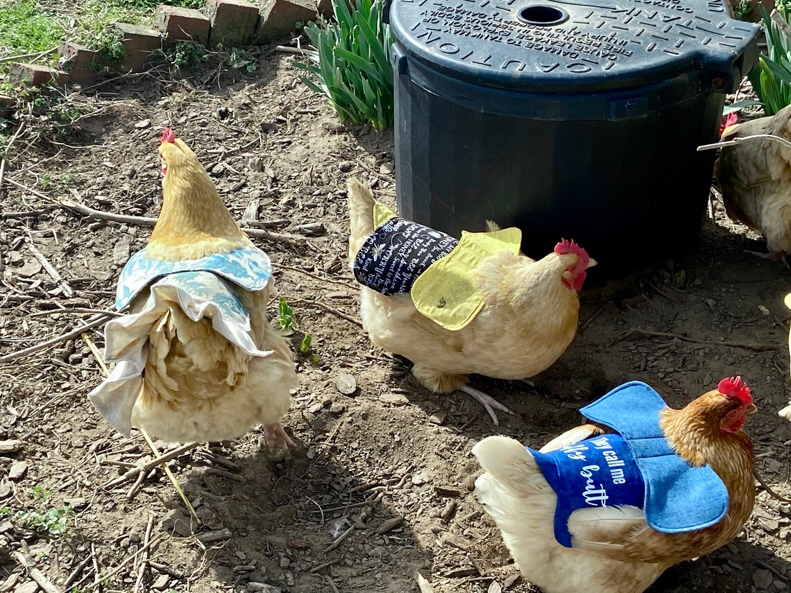 Chicken Saddle/ Chicken Apron/ Hen Saddle- Light Blue With Green ...