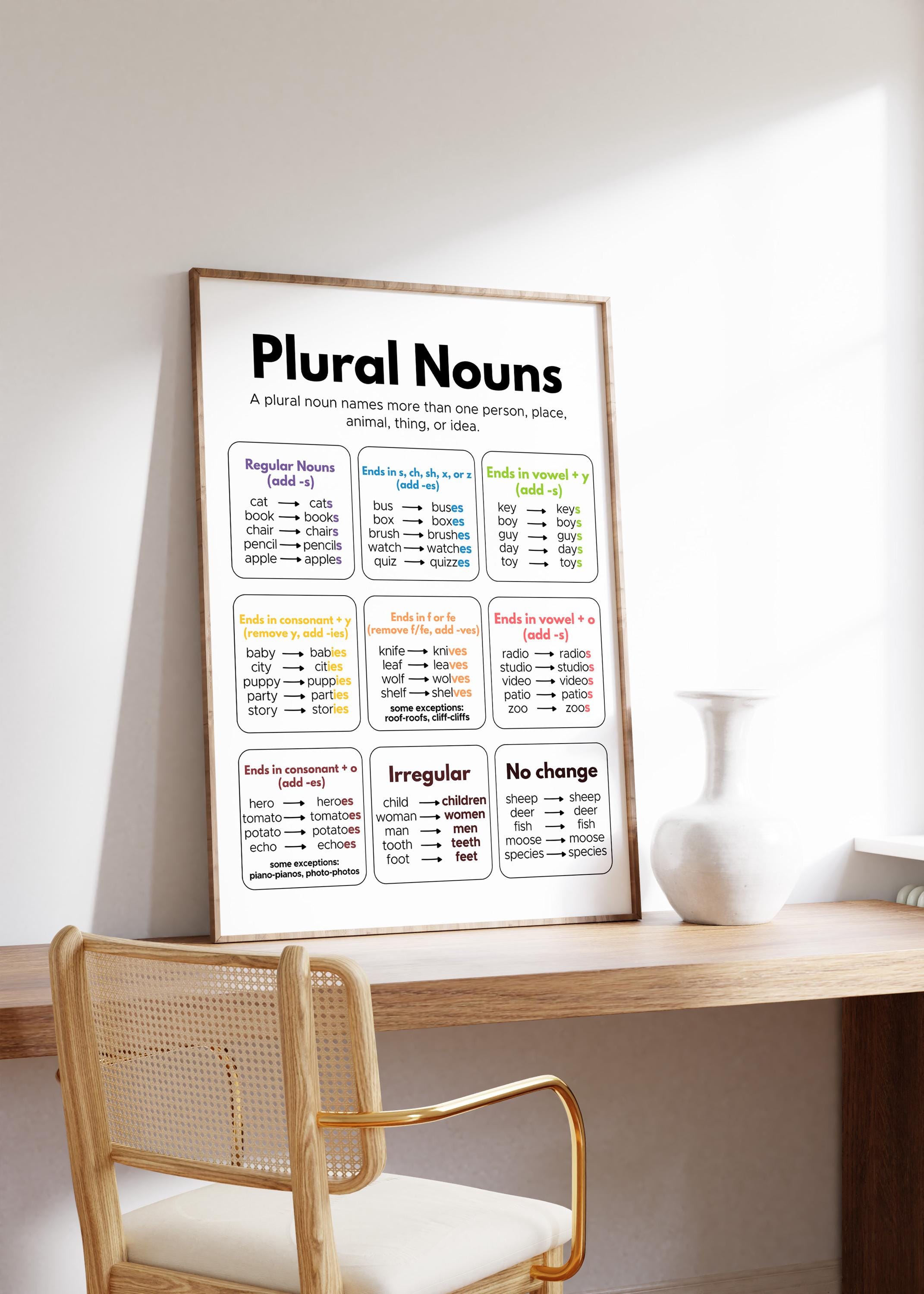 Plural Nouns Poster, Types of Plural Nouns, English Grammar, English ...