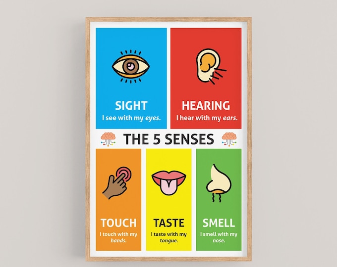 5 Senses Traditional Chinese Kids 我的五感 Science Five Senses Print ...