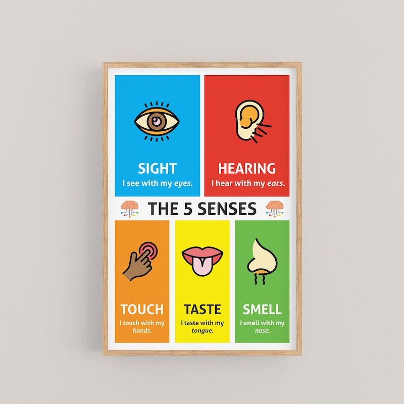 Five Senses Poster - Etsy