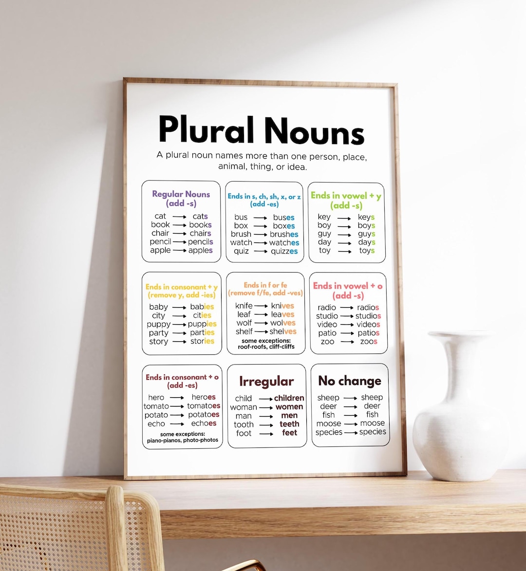 Plural Nouns Poster, Types of Plural Nouns, English Grammar, English ...