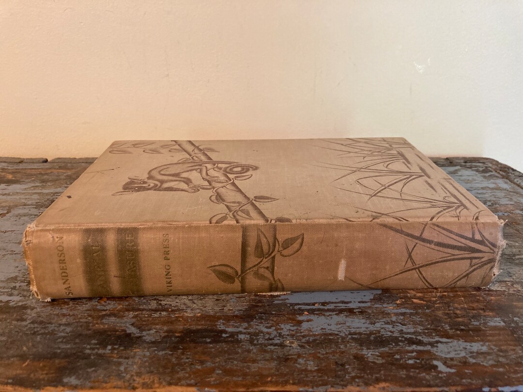 Animal Treasure. 1937. Ivan T. Sanderson. Nature Book. Book About ...