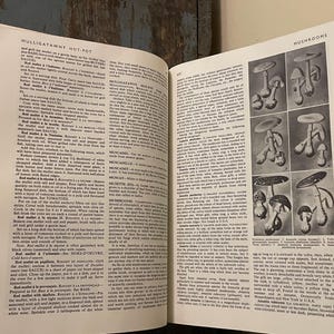 Larousse Gastronomique. the Encyclopedia of Food, Wine & Cookery. 1966 ...