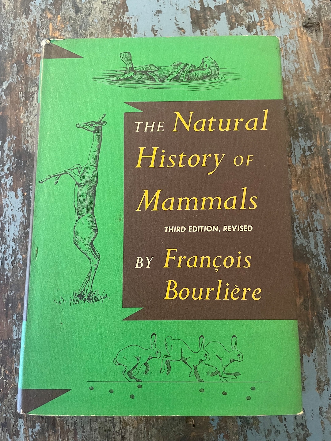 Natural History of Mammals. 1964. Natural History. Biology. Naturalist ...