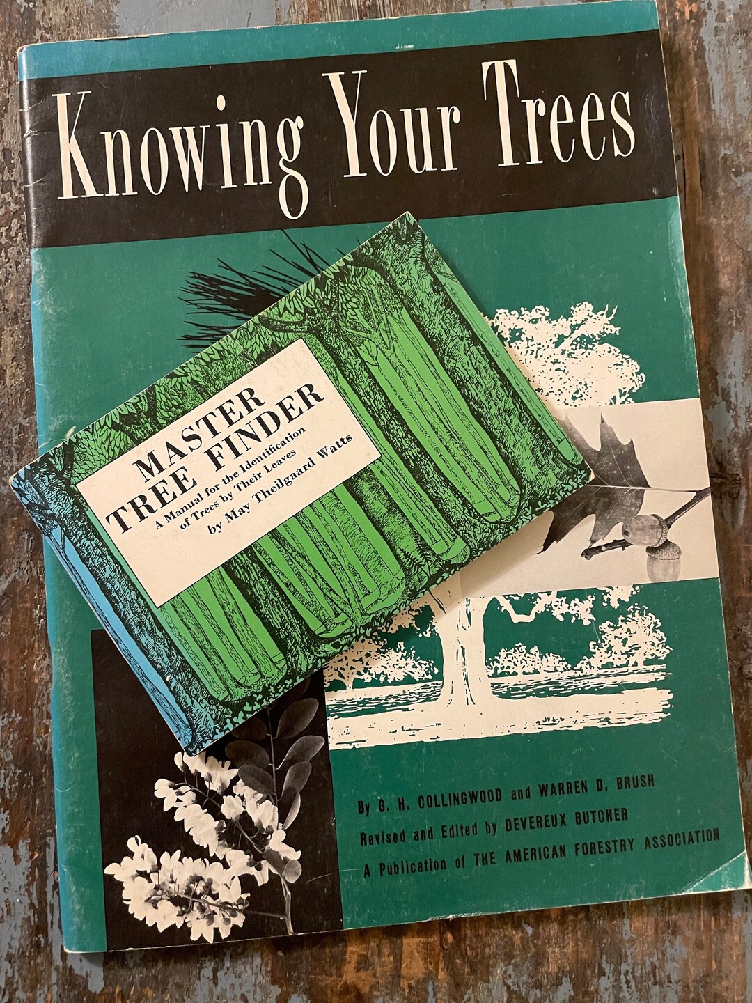 Master Tree Finder. Knowing Your Trees. Gift for Tree Lover. Nature ...