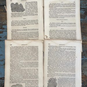 30 Science-themed Book Pages. Antique Science Pages. Vintage Book Paper ...