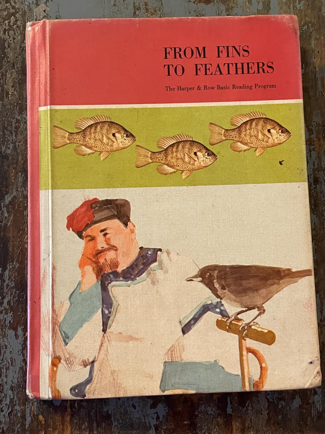 Vintage Children's Reader. From Fins to Feathers. 1966. Old Elementary ...