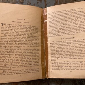 The Fancy Mouse. Albert C. Jude, Signed by the Author. President of the ...