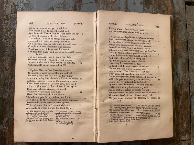 Paradise Lost. A Poem in Twelve Books. John Milton. 1869. Poetry Book ...