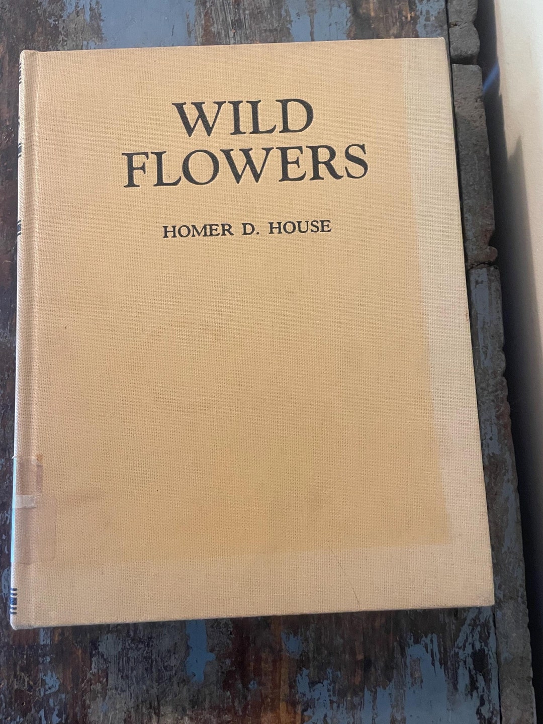 Wild Flowers. Homer D. House. 1935. Gift for Gardener. Book About ...