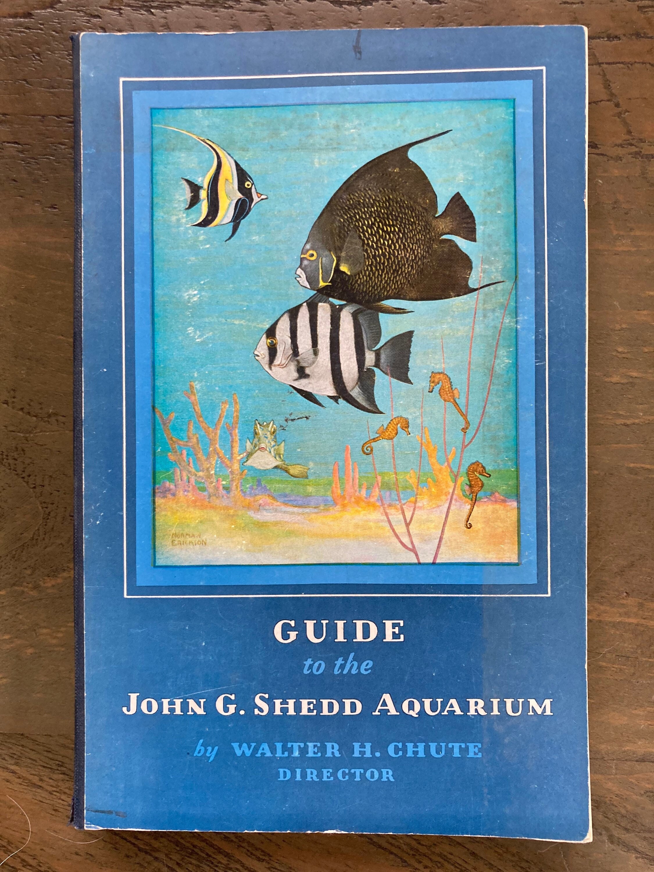 Shedd Aquarium Fish