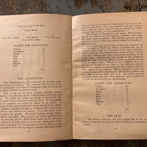 The Fancy Mouse. Albert C. Jude, Signed by the Author. President of the ...