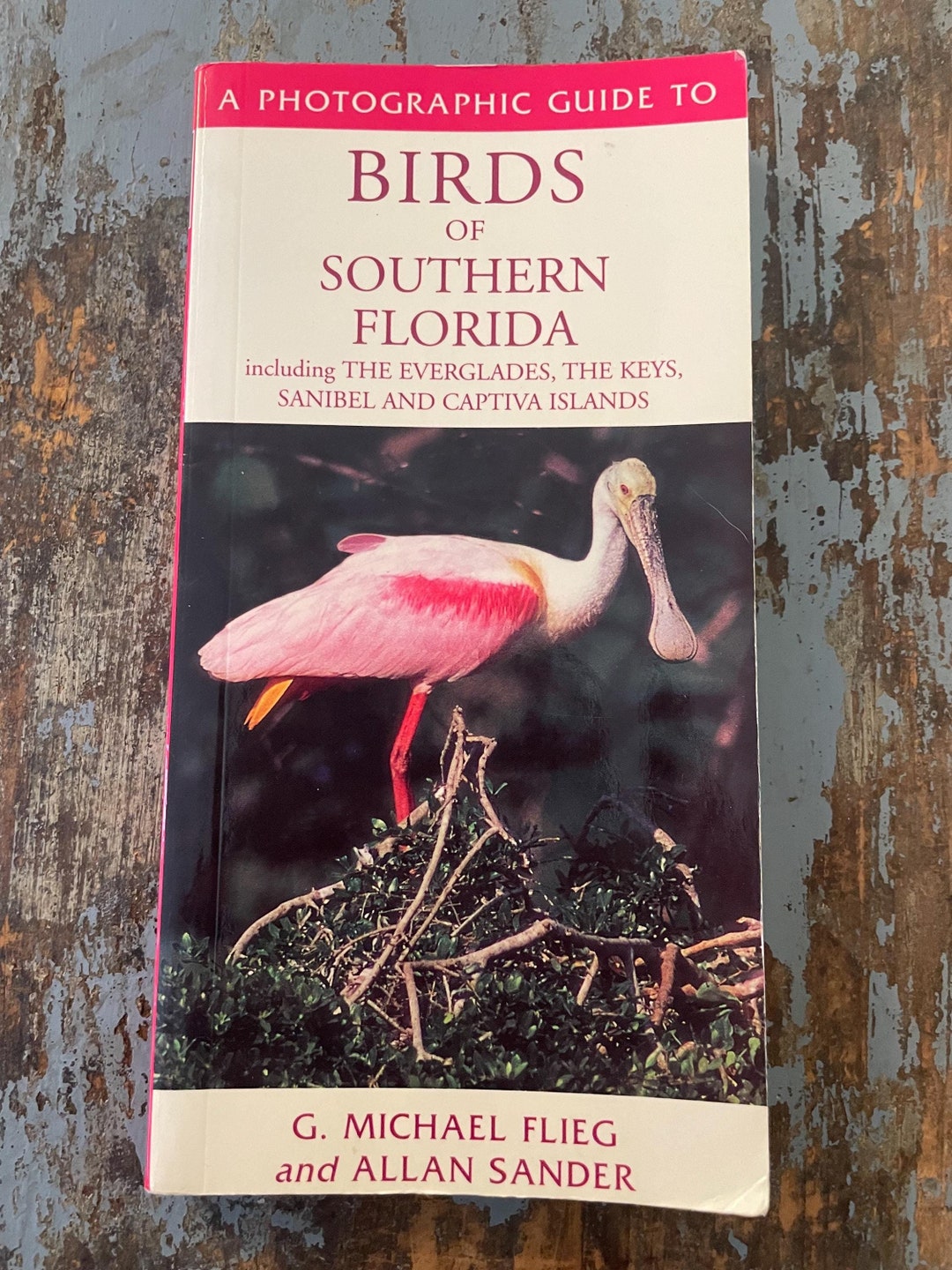Birds of Southern Florida - A Photographic Guide. Florida Birds ...
