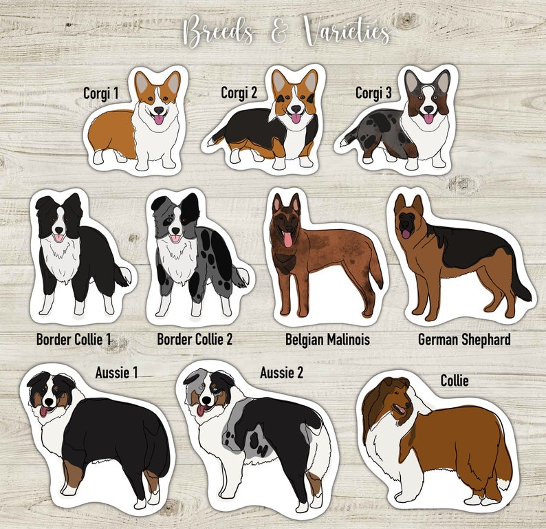 Dog Breed Classic Stickers Herding Group Many Different - Etsy