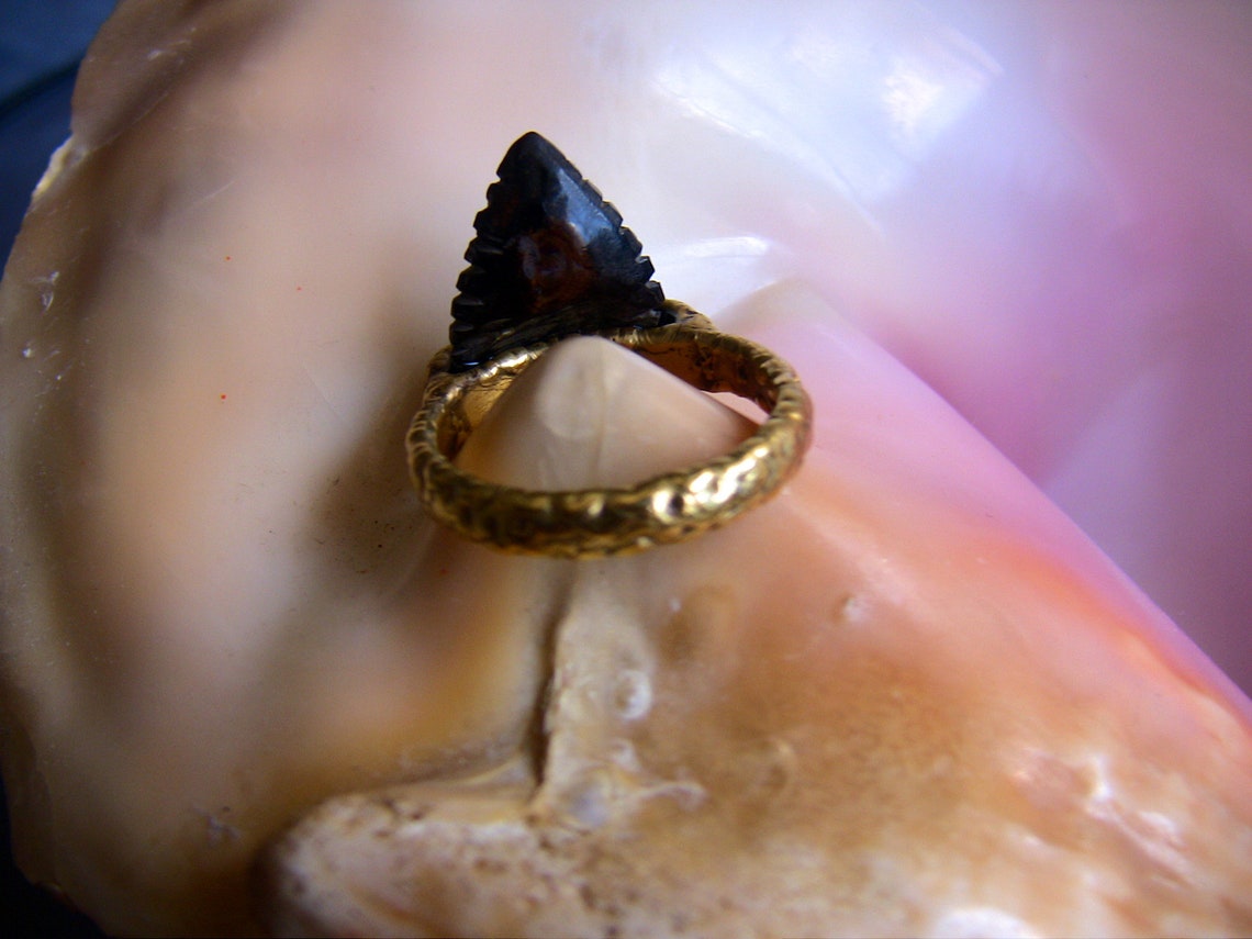 Shark Tooth Ring Solid 24K Pure Gold .9999 Pure Gold and - Etsy