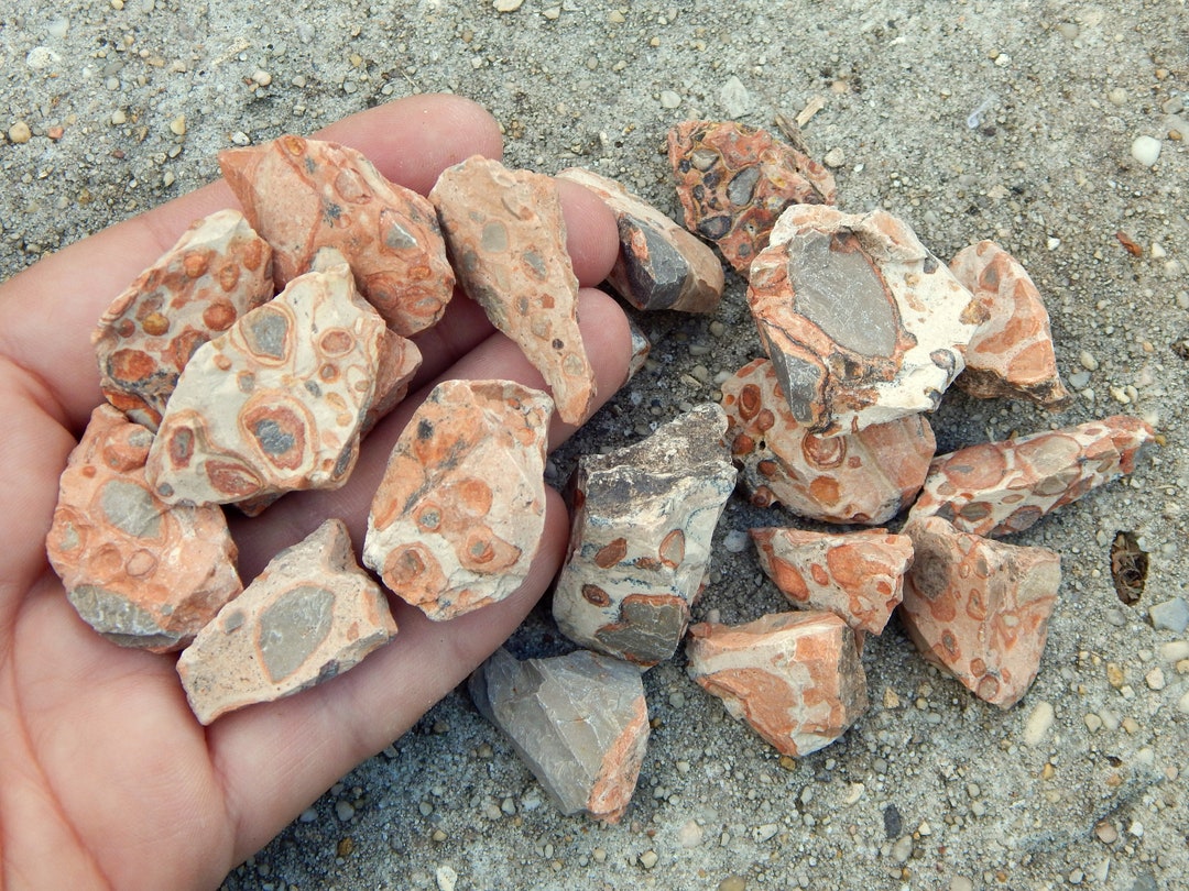 Raw Leopardite, Rough Leopardite, Raw Jasper, Raw Gemstones, Orgonite ...