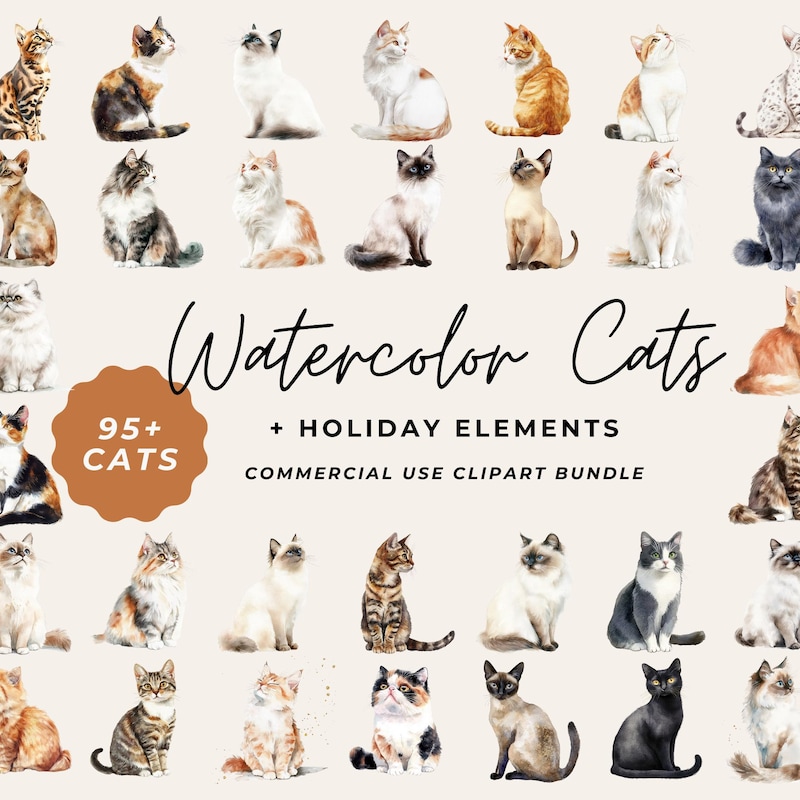 Coquette Cat - Etsy