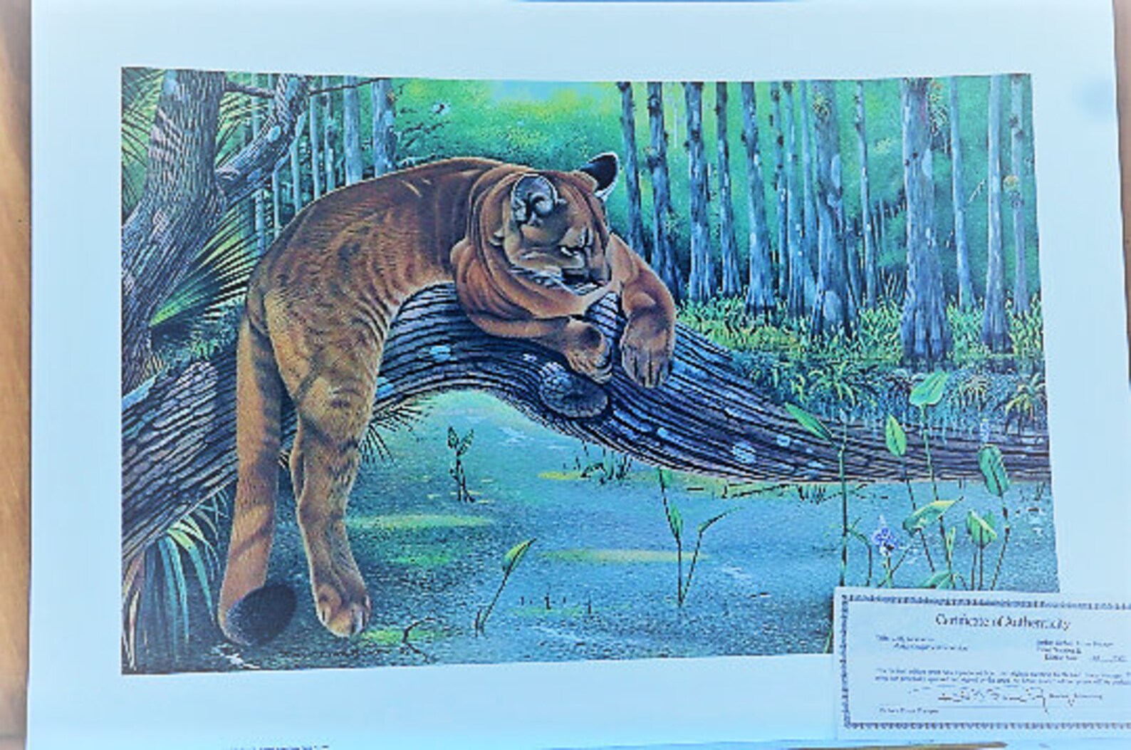 The Lofty Lookout, Robert Evans Younger Limited Edition Numbered Print ...